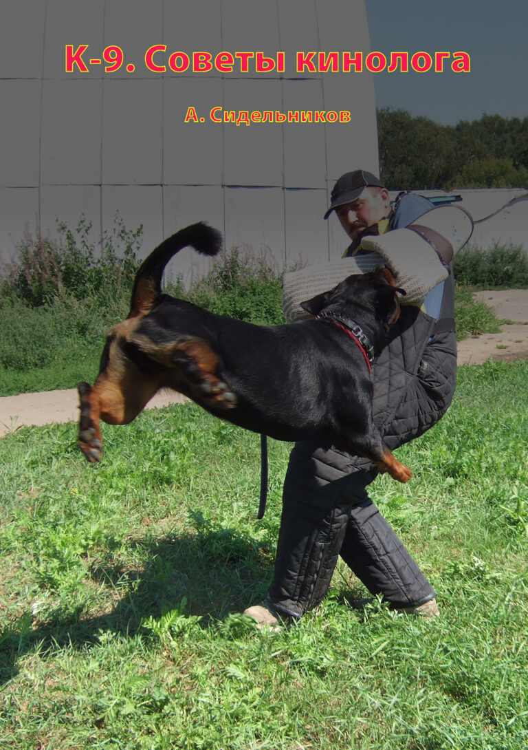 Статьи: - k-9.ru